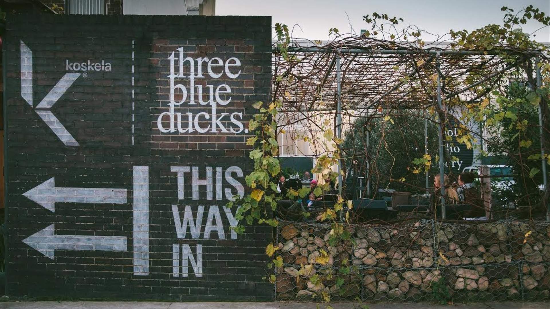 Three Blue Ducks Bar Launch, Sydney