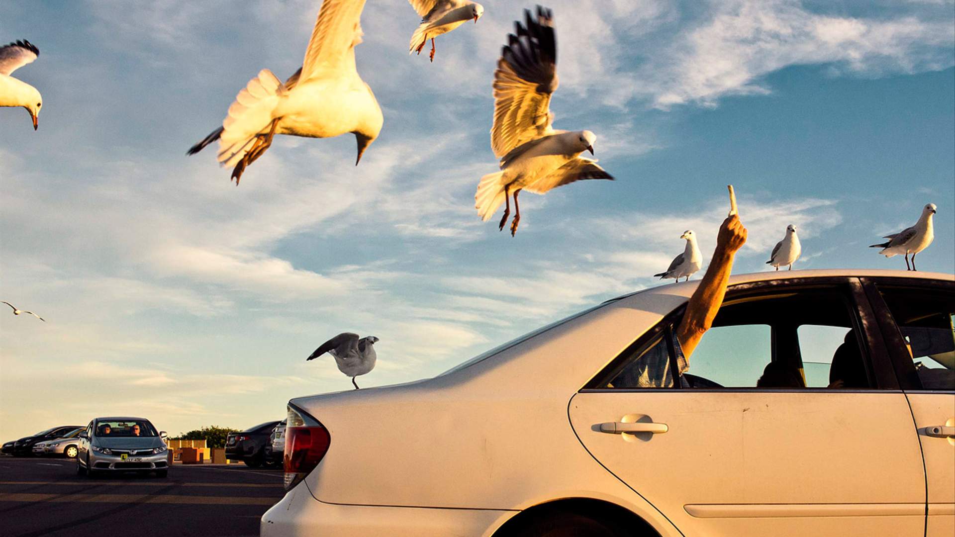 Australian Life Photography Exhibition, Sydney