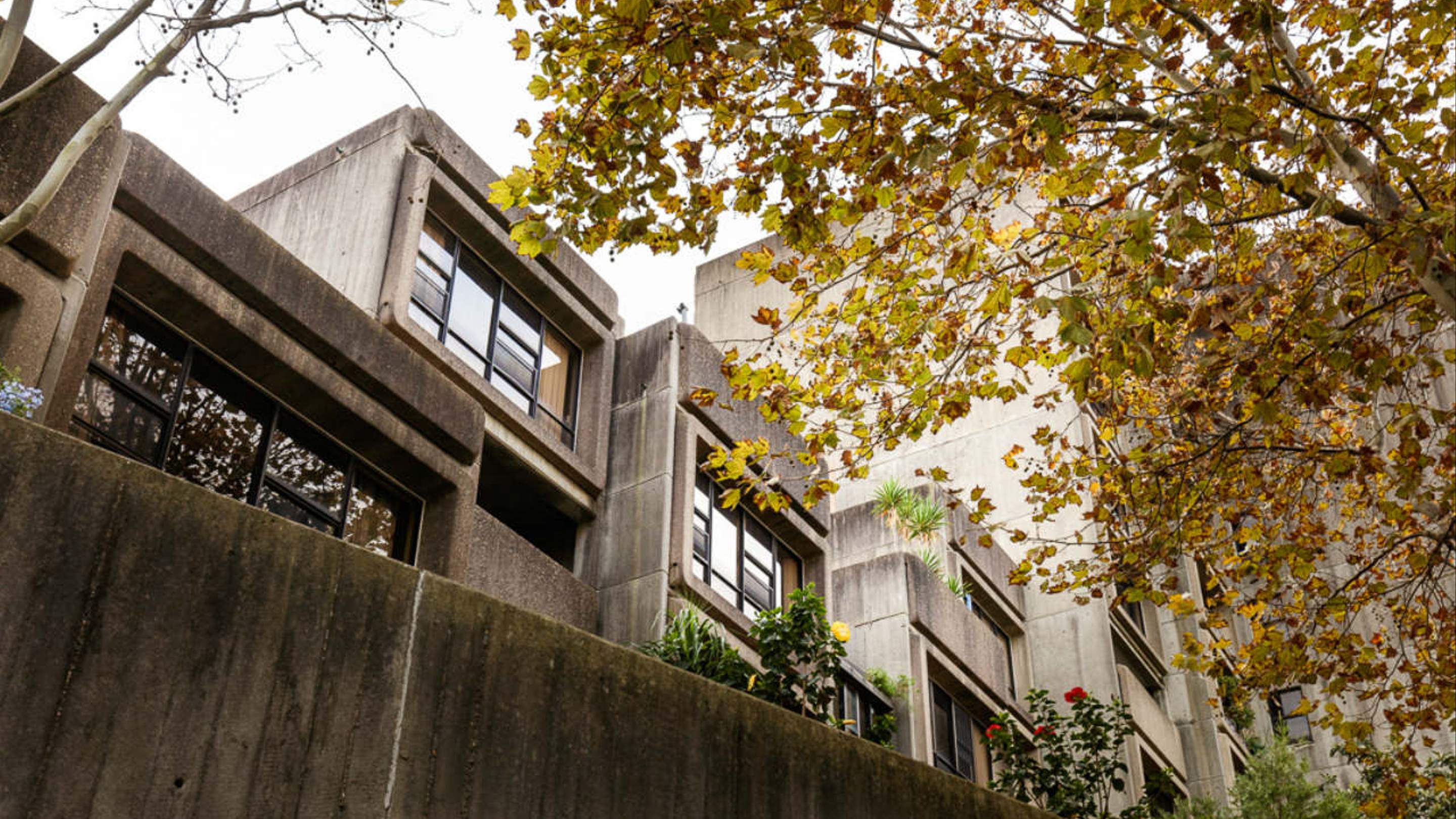 Last Tour of the Sirius Building - Concrete Playground