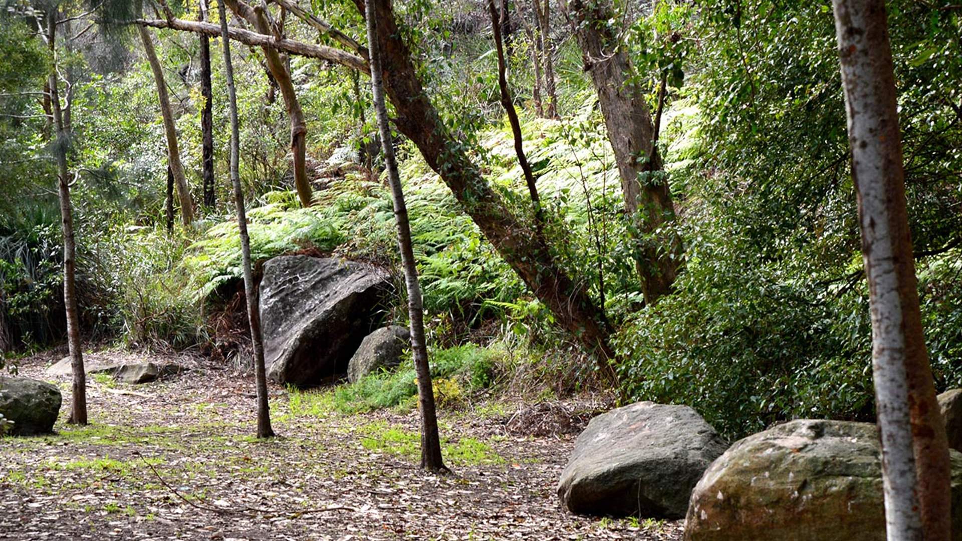 Burnum Burnum Sanctuary - Concrete Playground