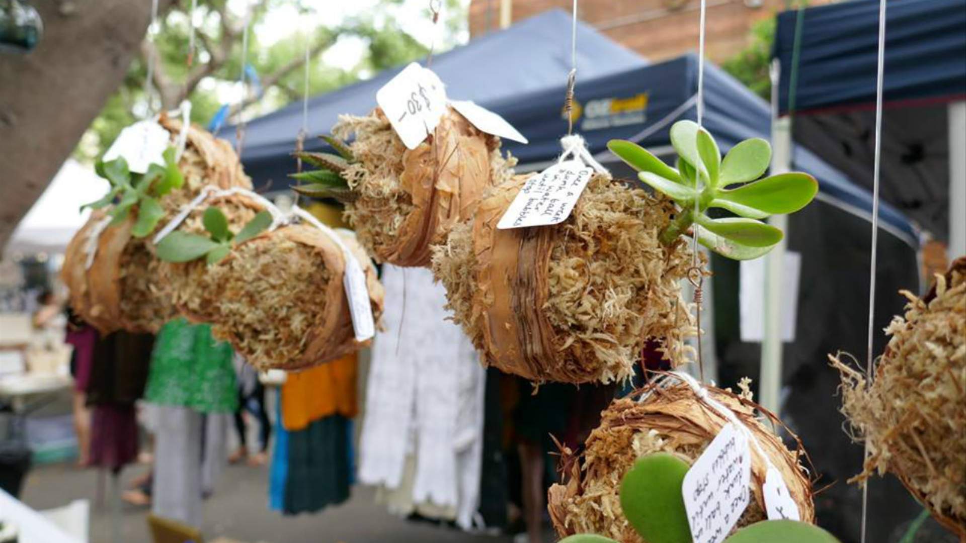 Glebe Markets, Sydney