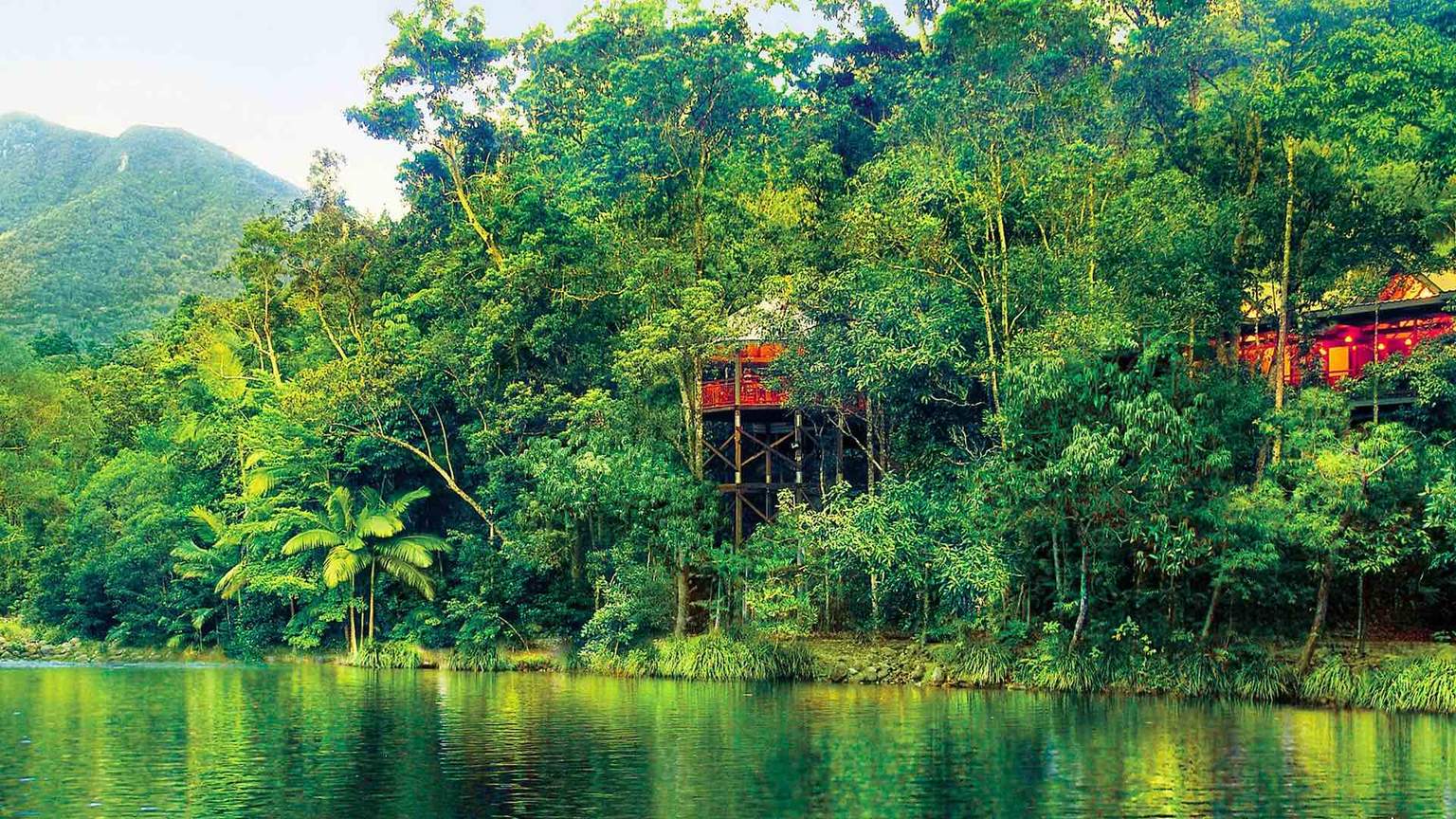 Five Epic Australian Treehouses You Can Spend the Night In - Concrete ...