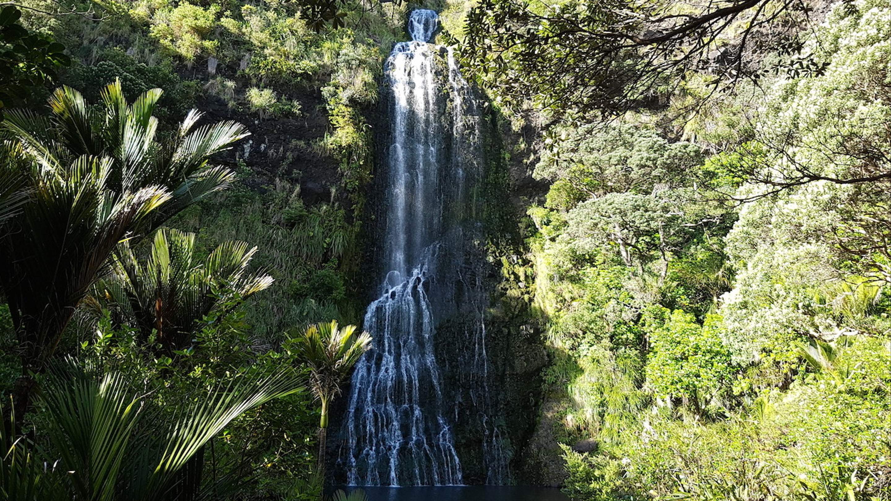 The Best Waterfalls to Swim Under Near Auckland - Concrete Playground