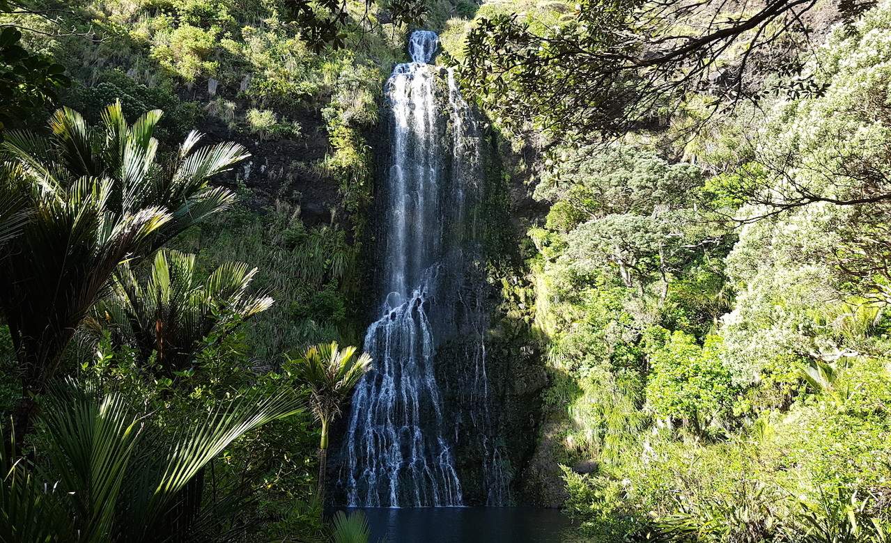 The Best Waterfalls to Swim Under Near Auckland - Concrete Playground
