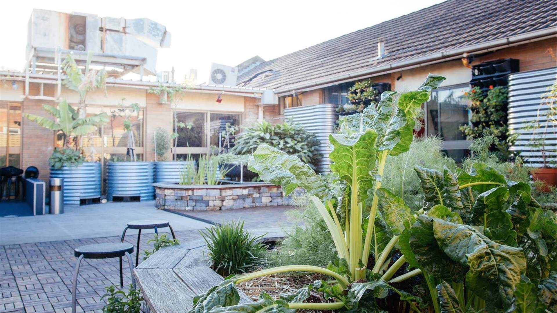 107 Projects' Pop-Up Rooftop Garden Bar Opening Party, Sydney