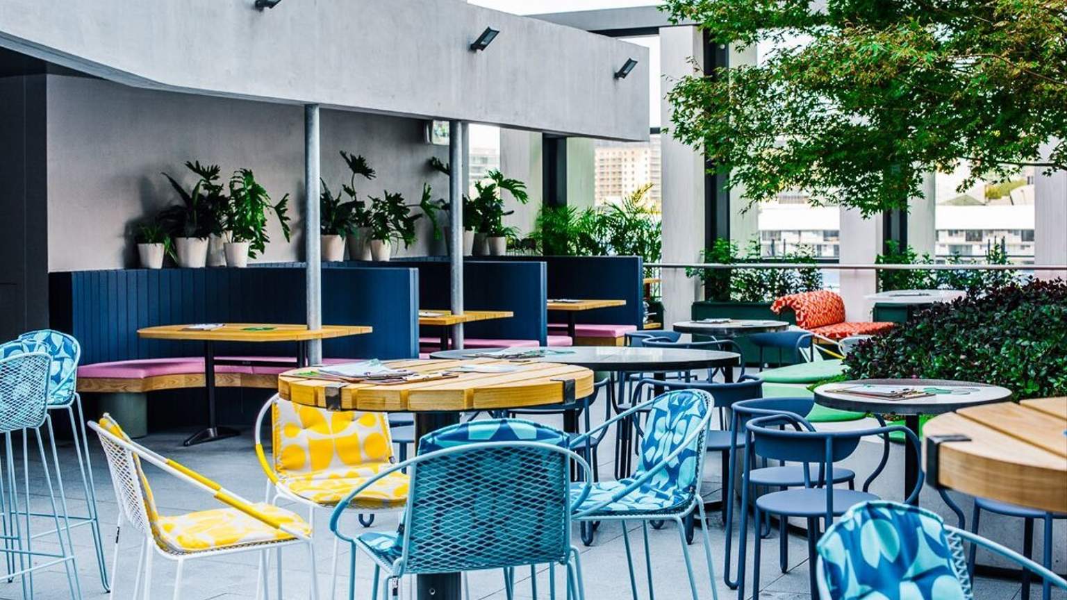 The Norfolk and Forresters Crew Open New Barangaroo Rooftop Bar, Untied ...