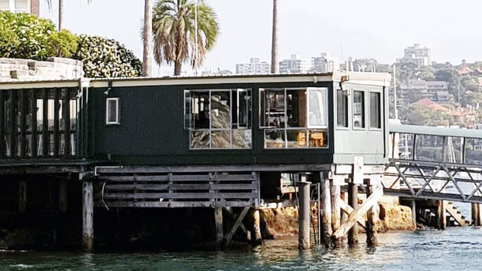 Celsius Coffee Co., Kirribilli Review