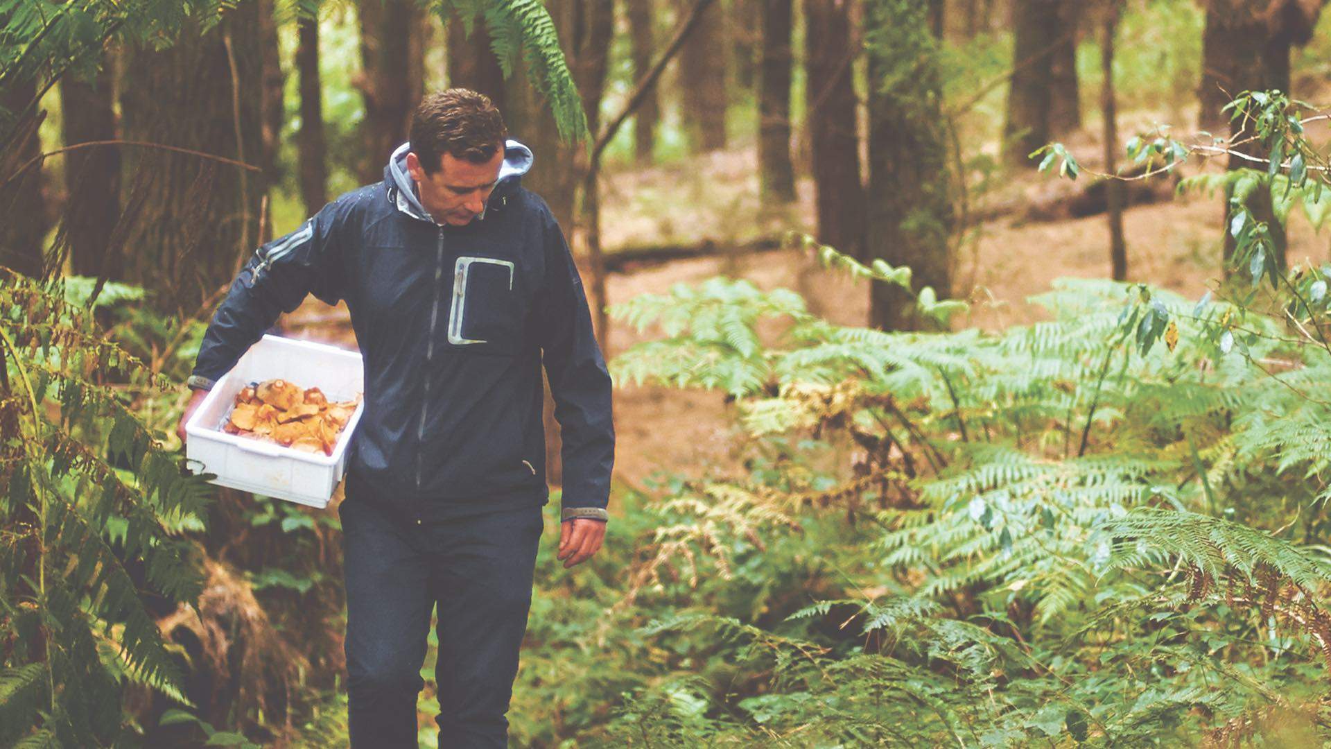 Brae's Dan Hunter Is Embarking on a Delicious National Cookbook Tour ...