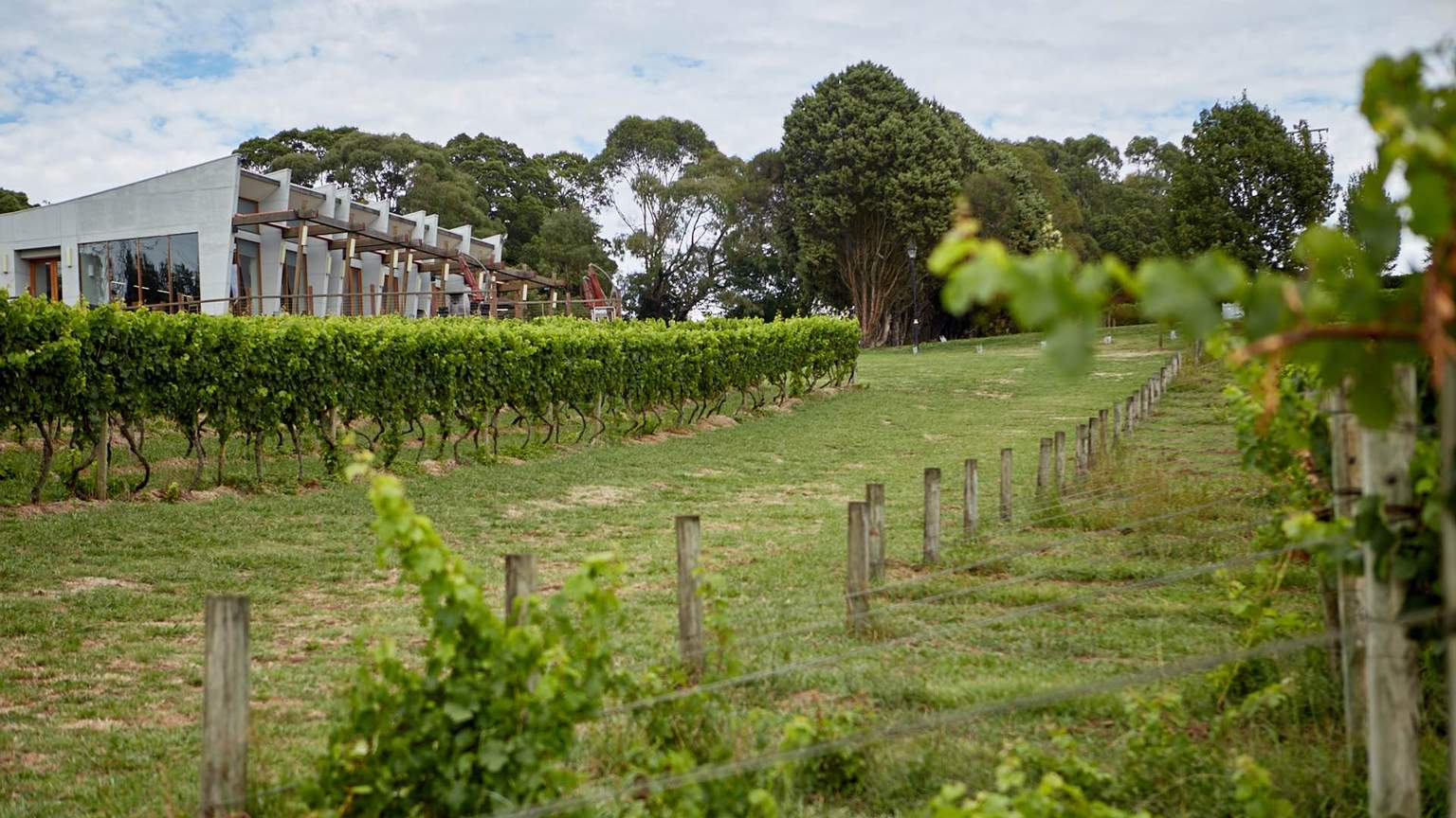 Hogget Kitchen, Warragul Review