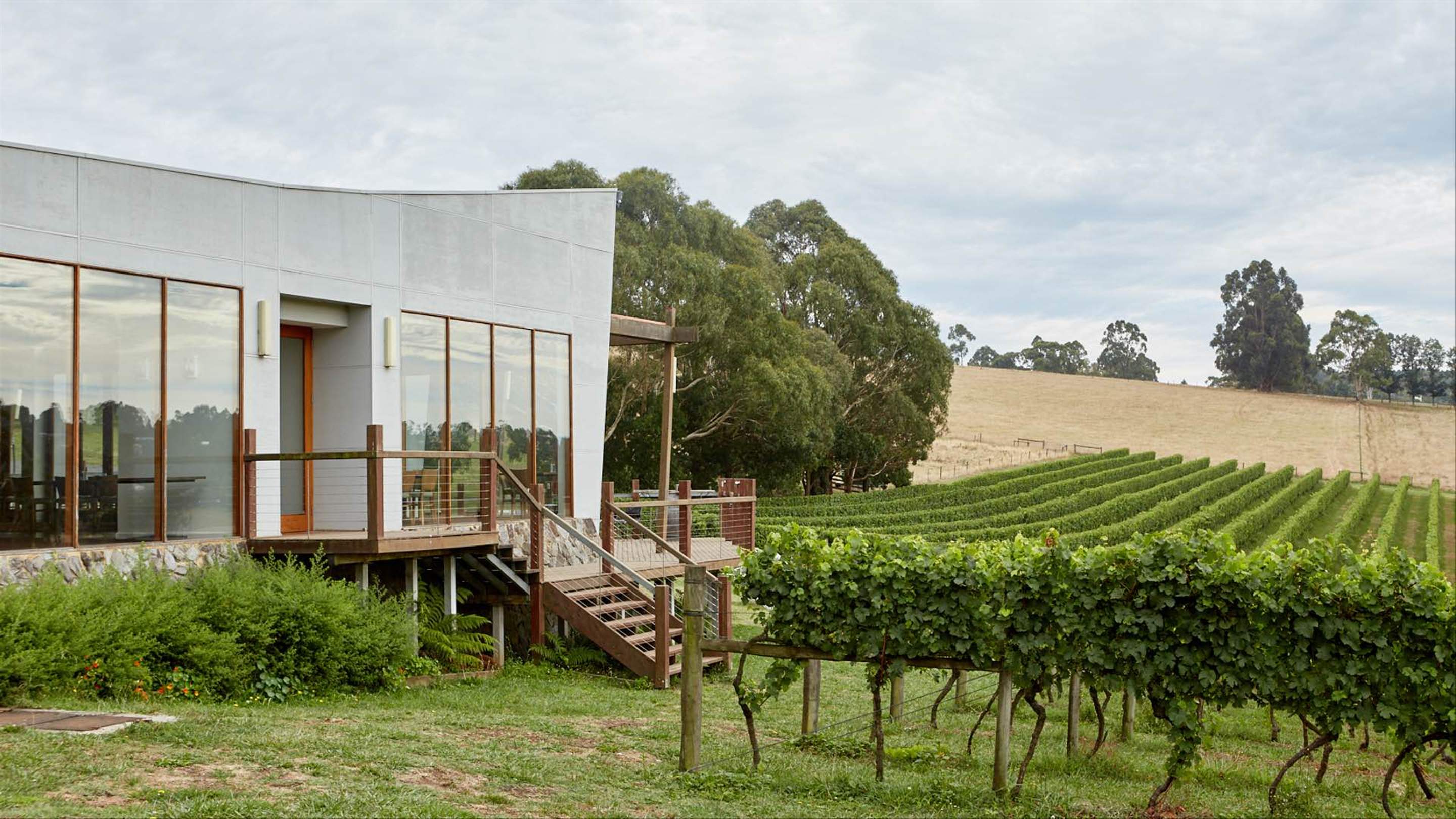 Hogget Kitchen, Warragul Review