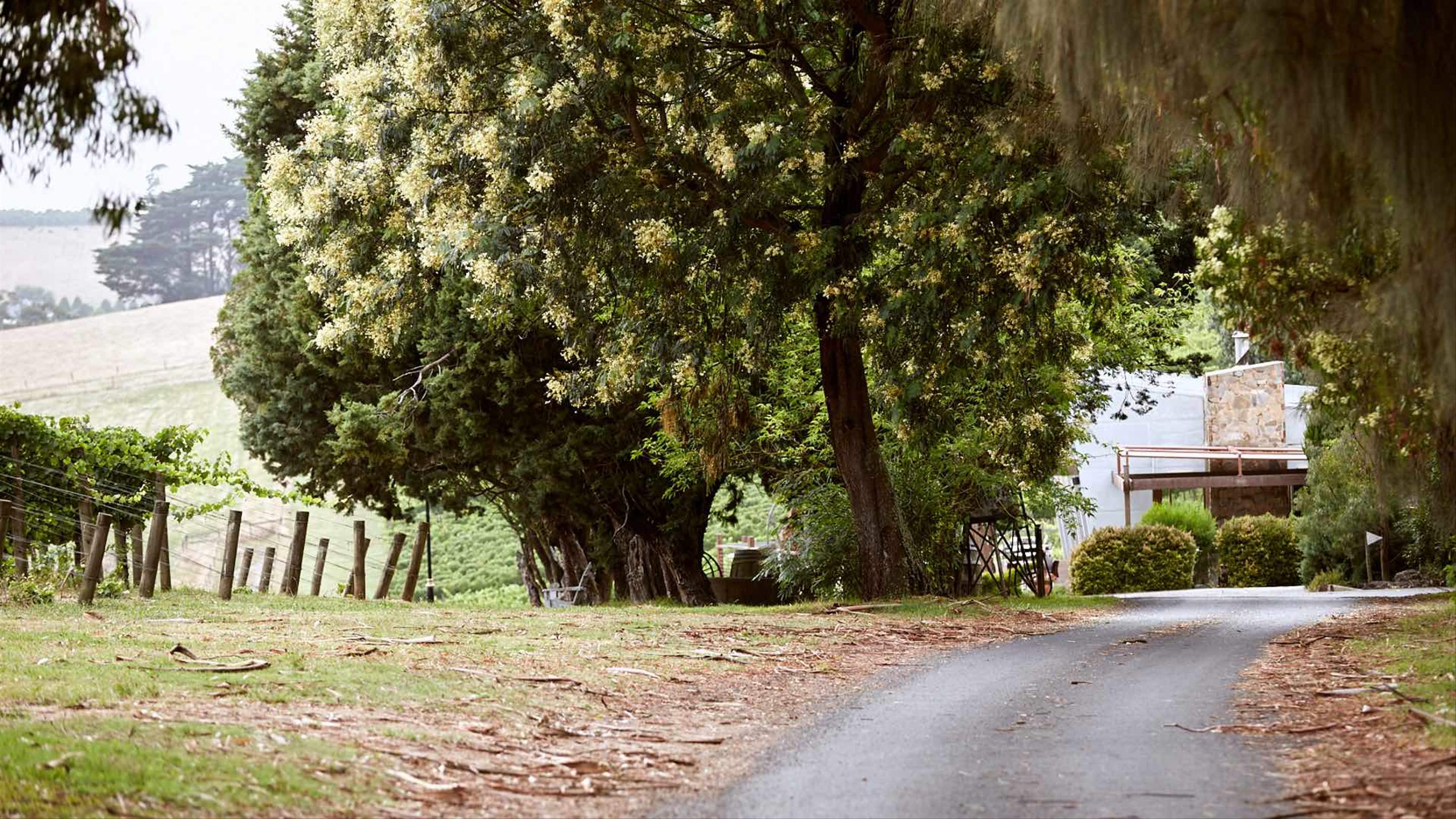 Hogget Kitchen, Warragul Review