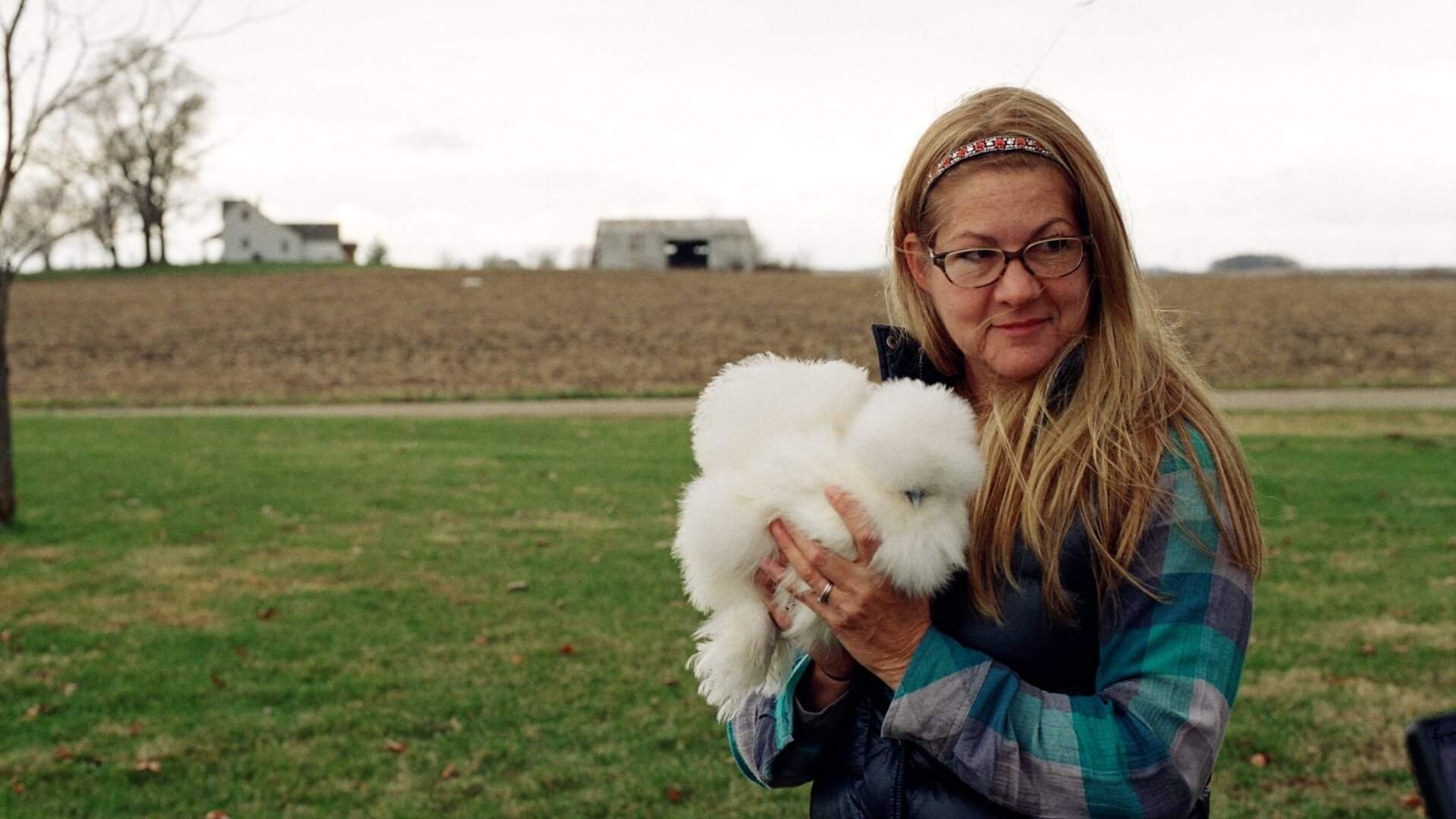 Chicken People - Concrete Playground