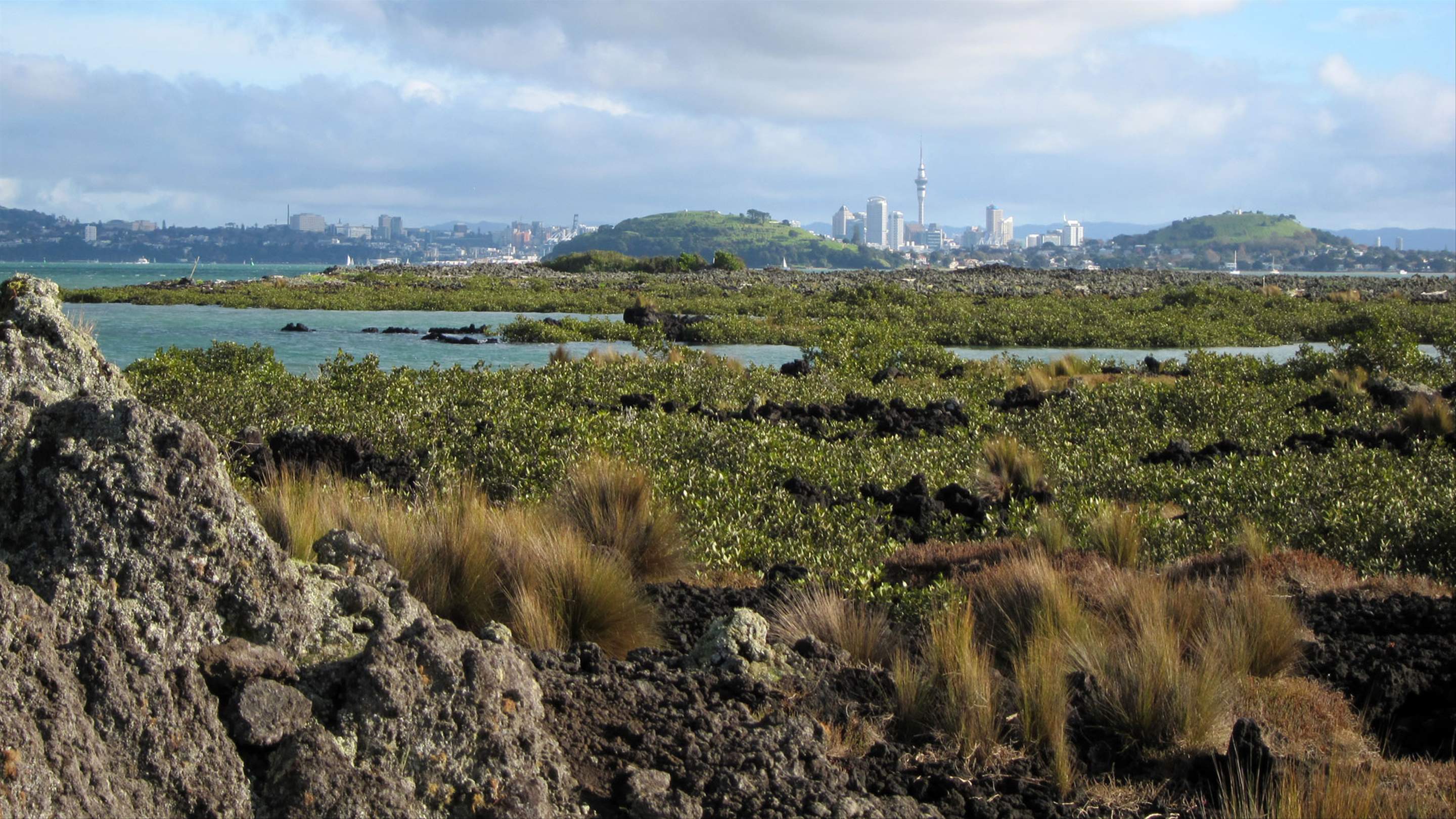 Nine of the Best Walks in and Around Auckland - Concrete Playground