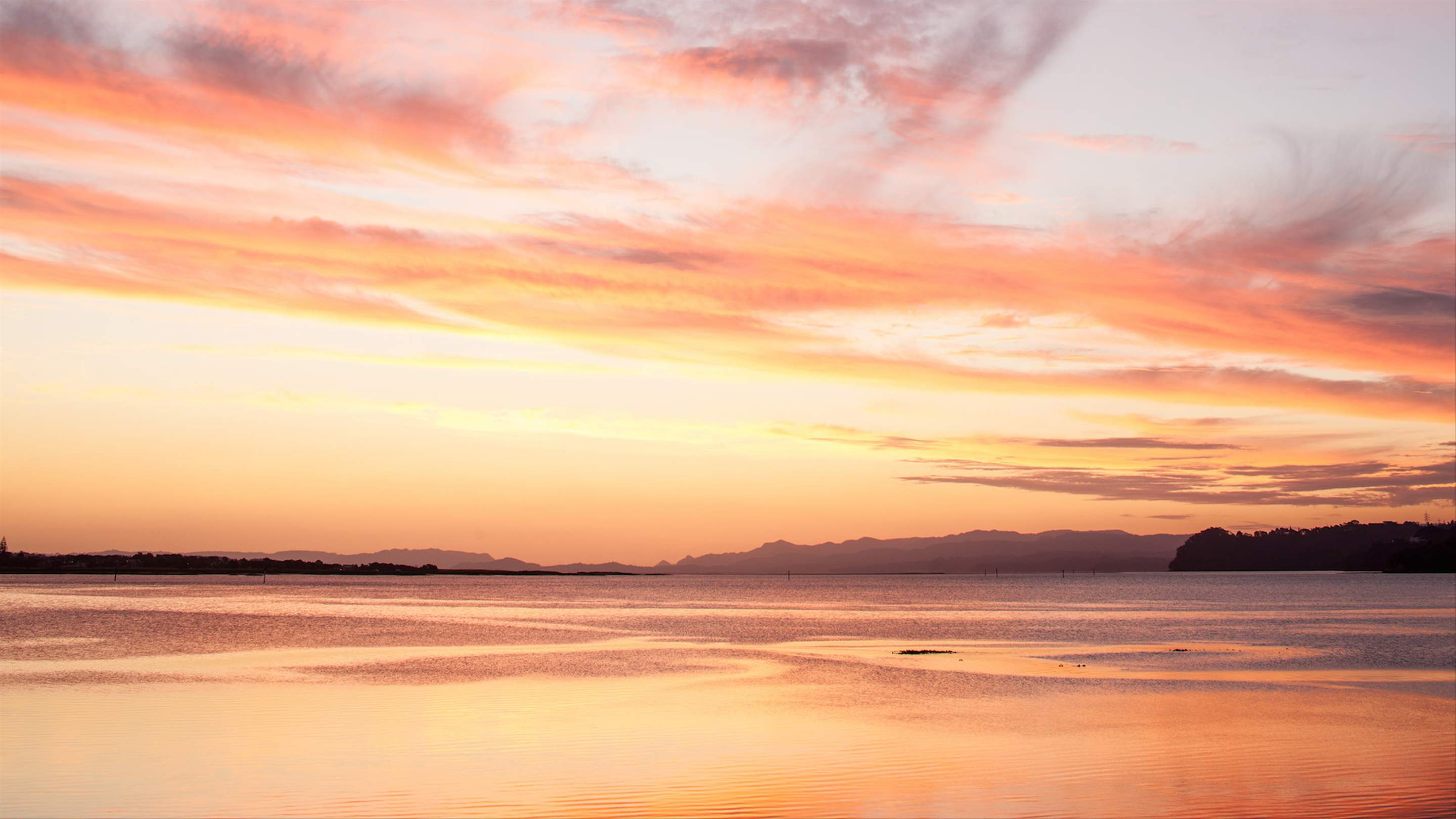 Nine of the Best Walks in and Around Auckland - Concrete Playground