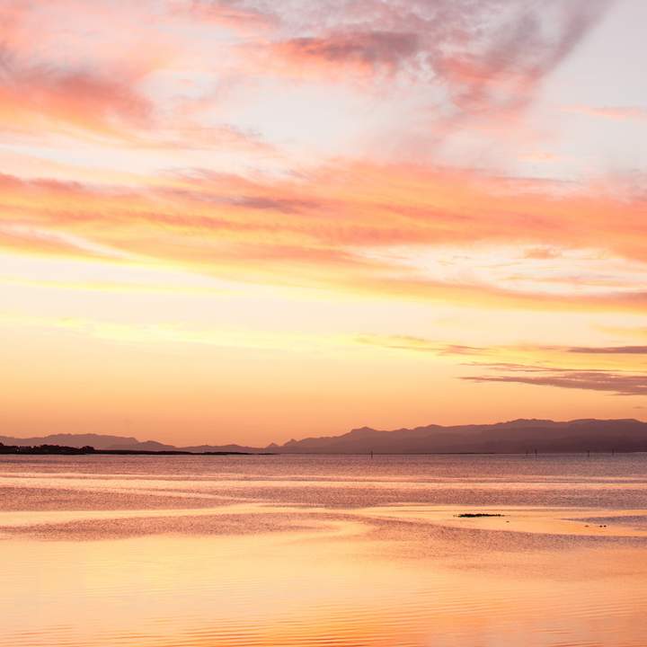 Nine of the Best Walks in and Around Auckland - Concrete Playground