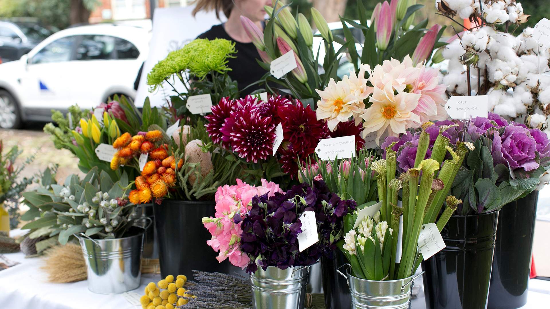 Watsons Bay Spring Markets, Sydney