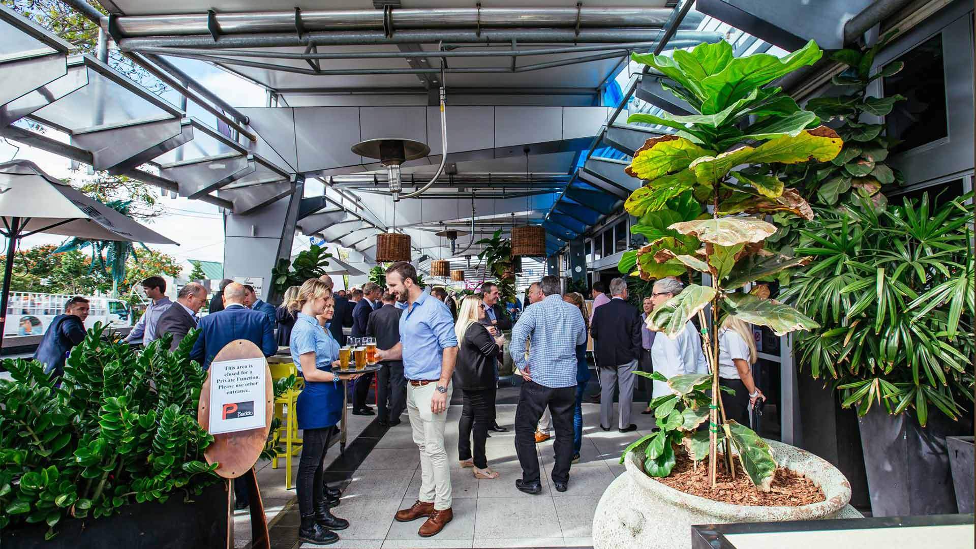 Two-for-one Meals and Karaoke at The Paddo - Concrete Playground