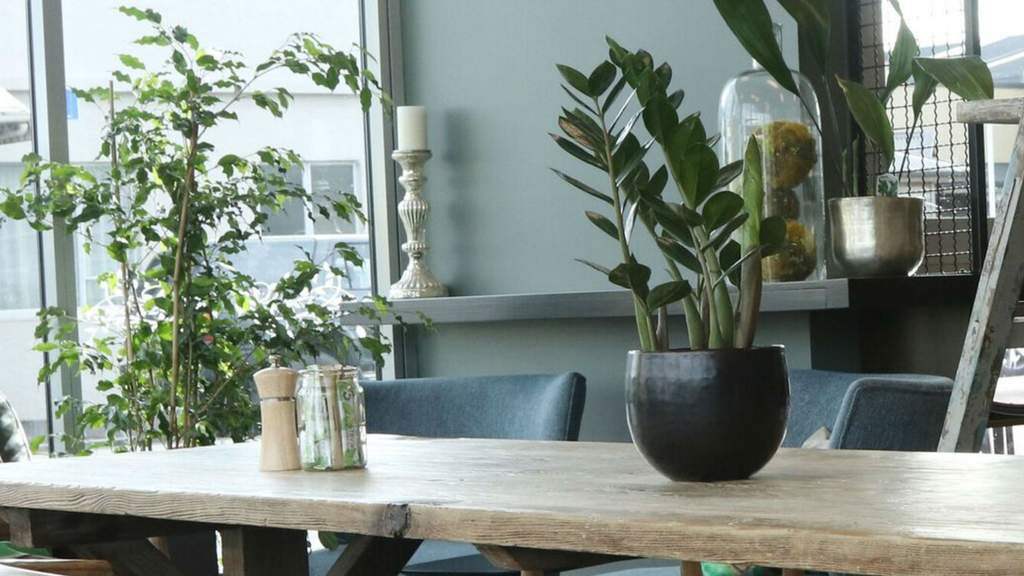 The Batch Cafe, Invercargill Review