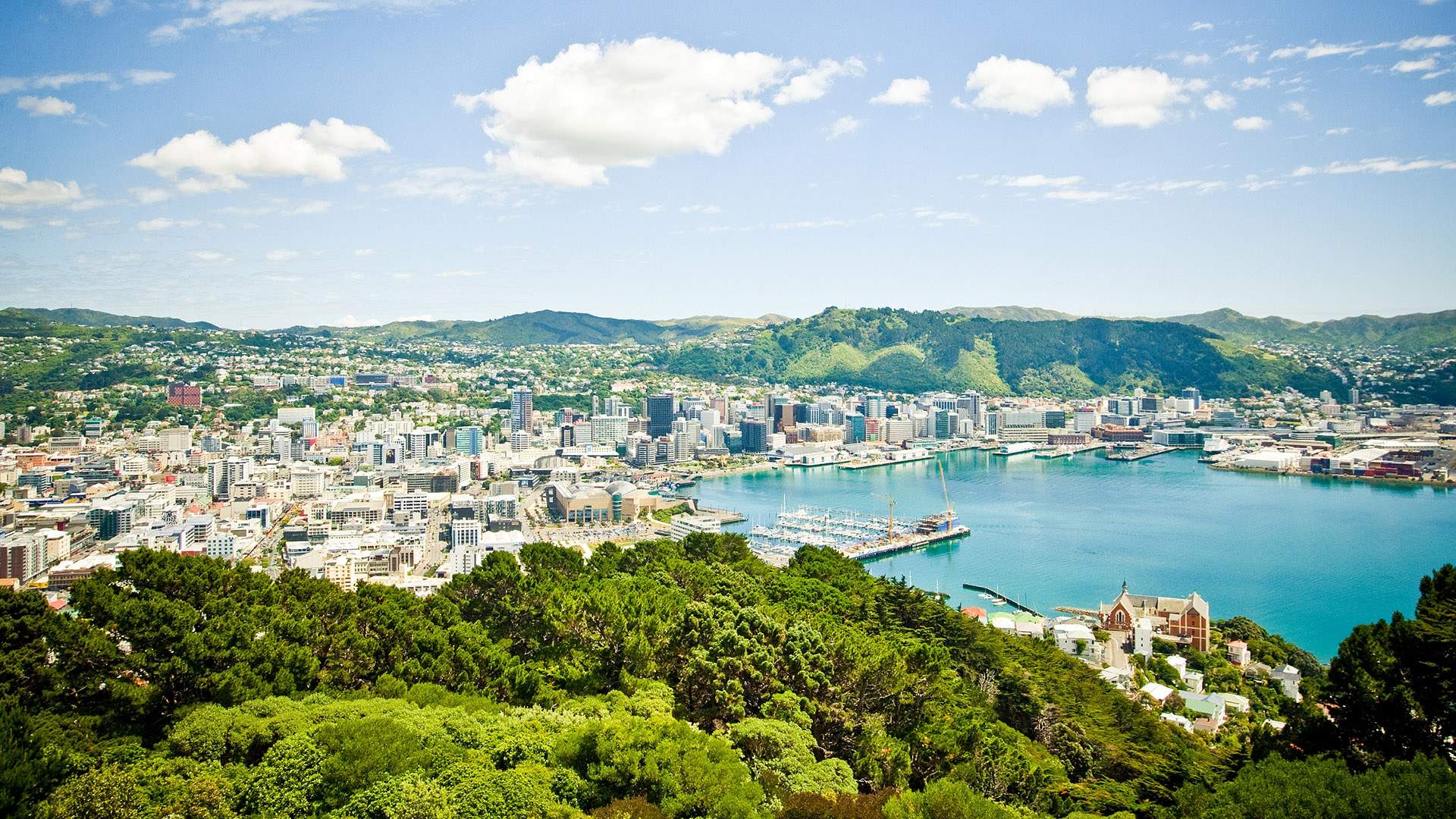 The Best Walks in and Around Wellington for 2023