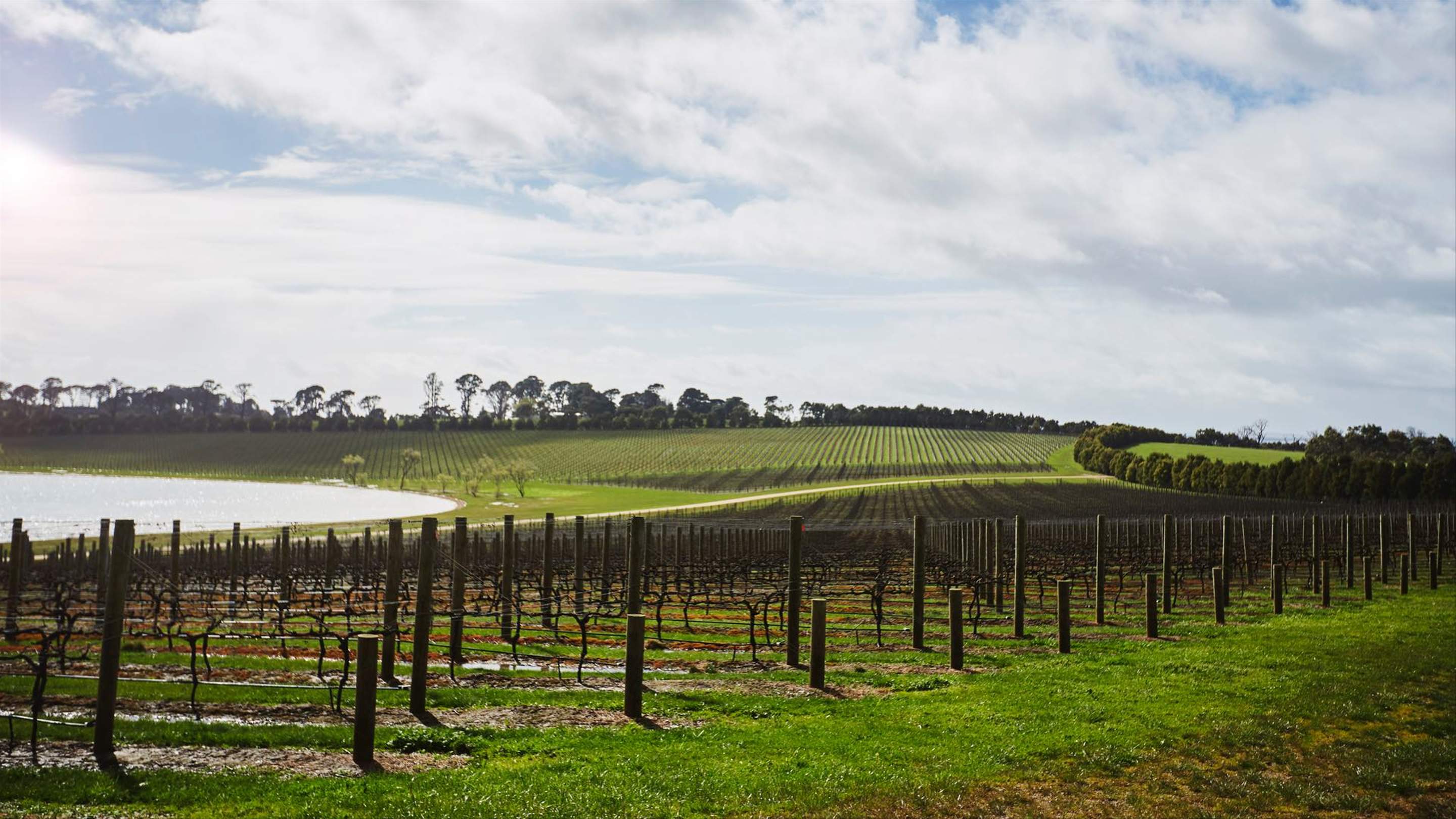 Pt Leo Estate, Merricks Review