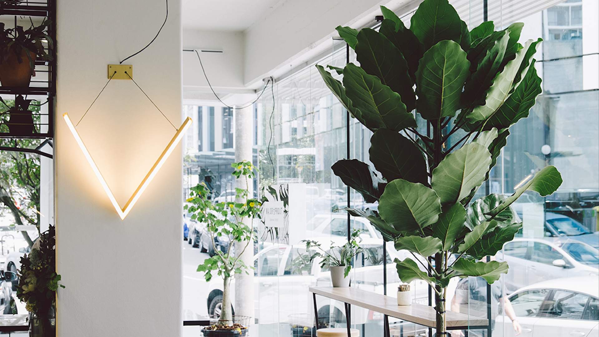 The Candy Shop Pop-Up, Auckland