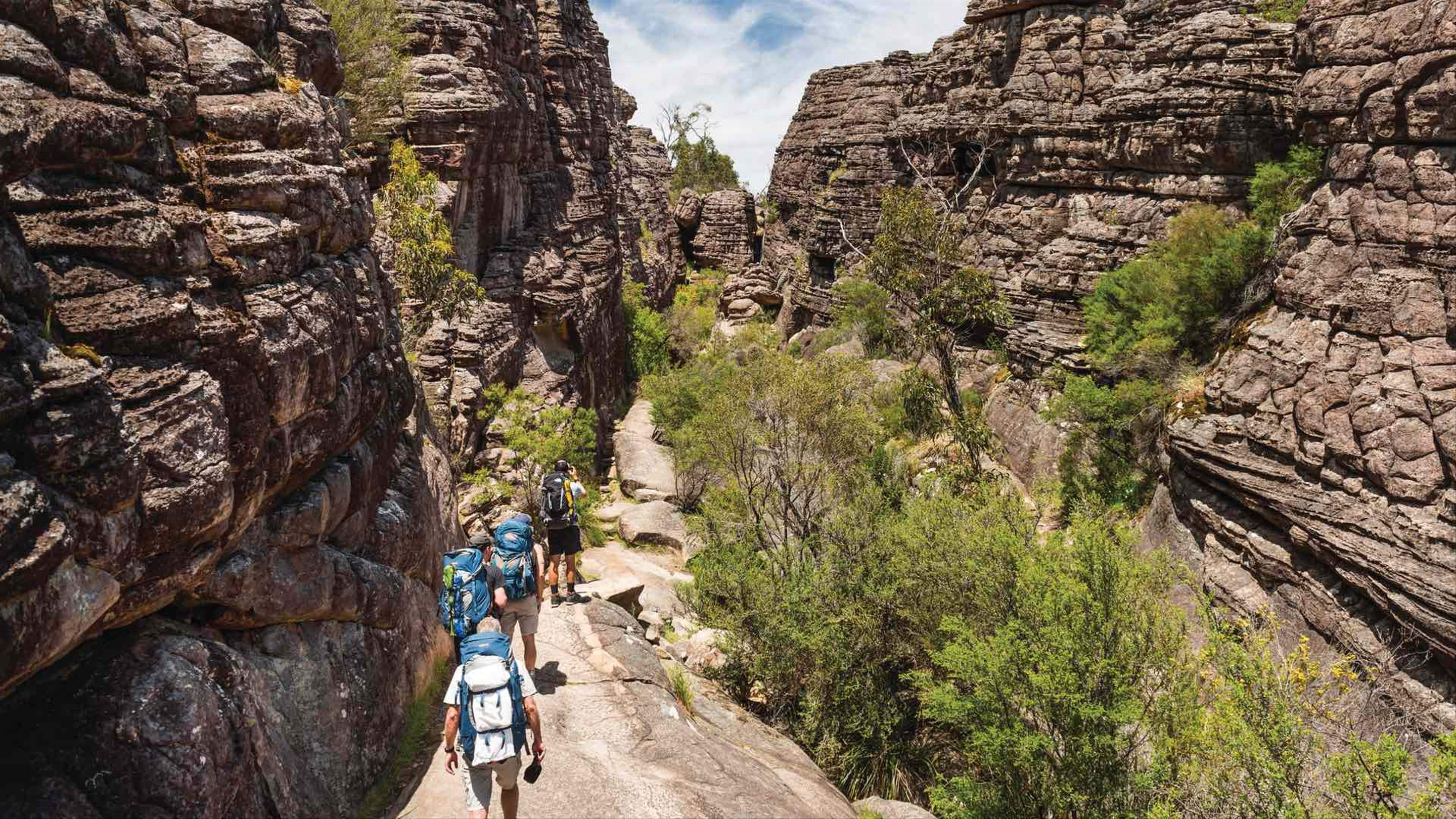 The Five Best Multi-Day Hikes to Conquer Near Melbourne