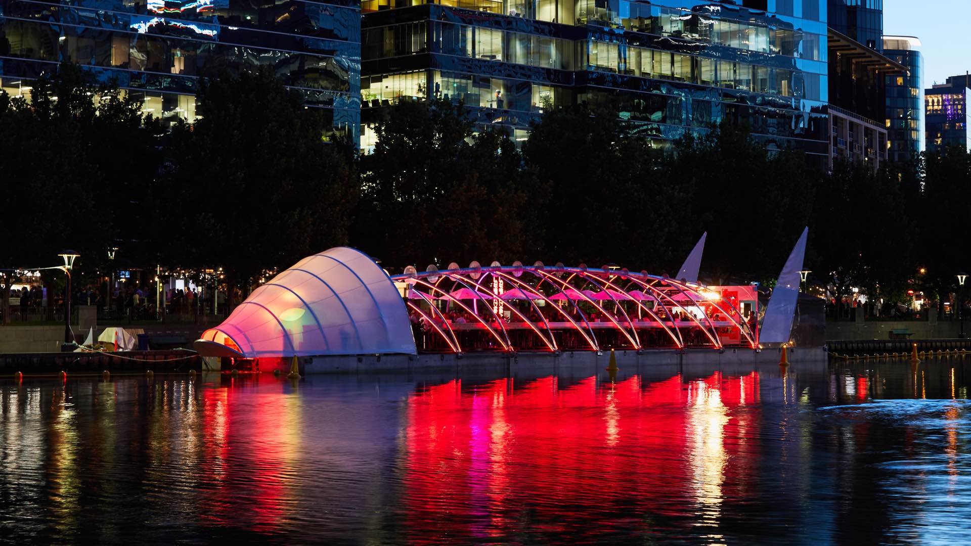 Supafish - Concrete Playground