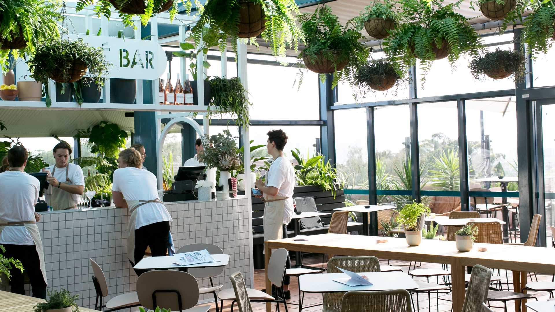 The Fernery, Mosman Review