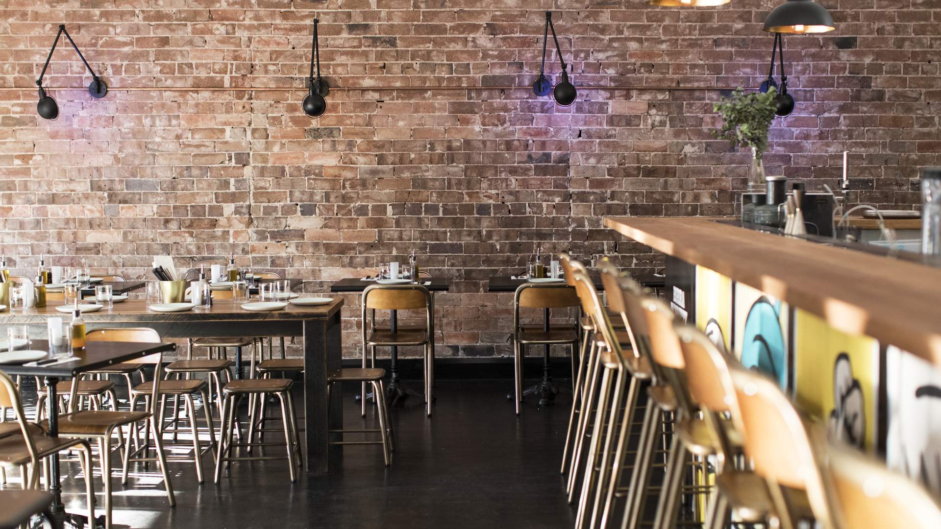 Maybe Frank Randwick, Randwick Review