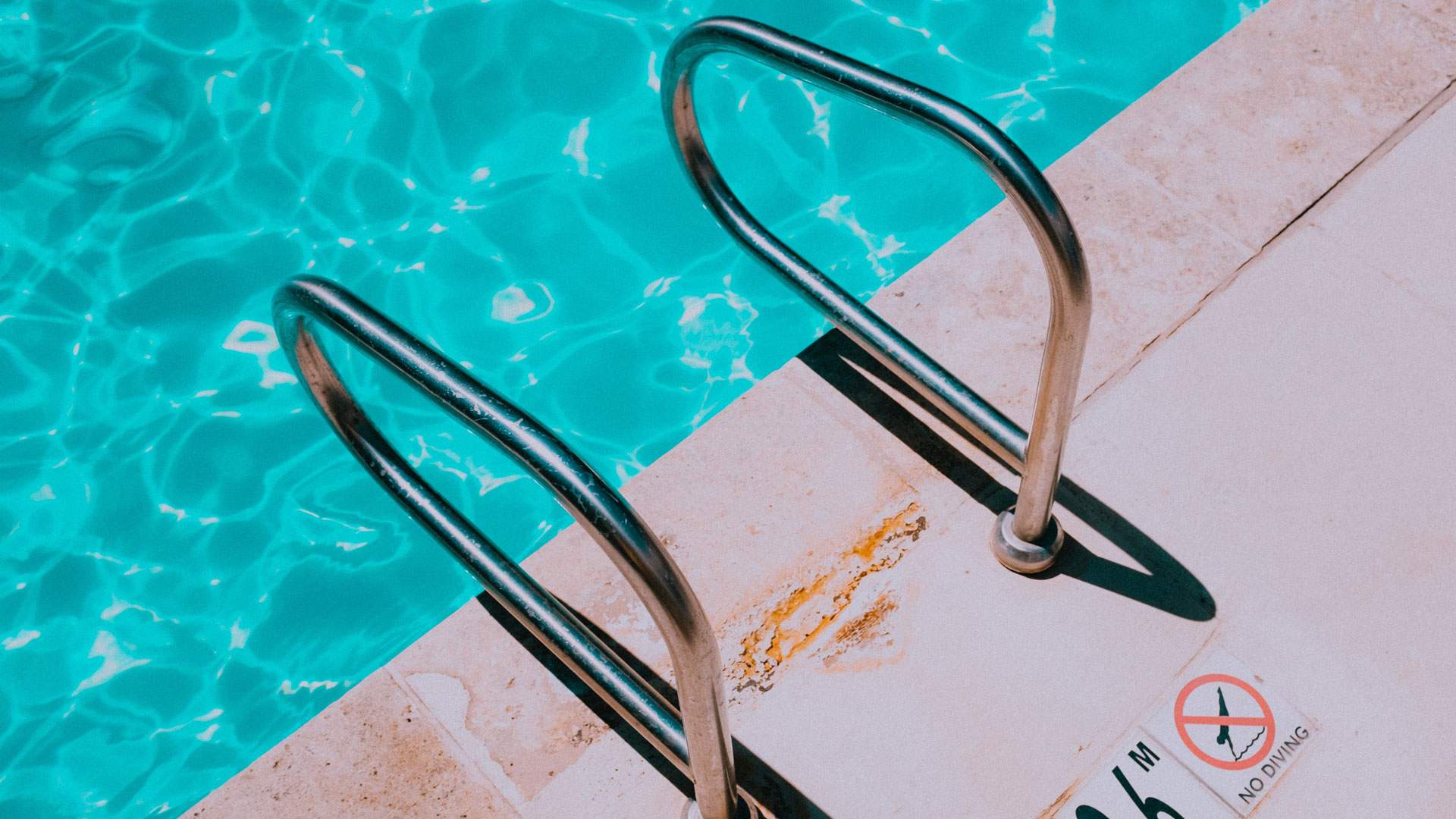 The Five Best Swimming Pools in Wellington - Concrete Playground