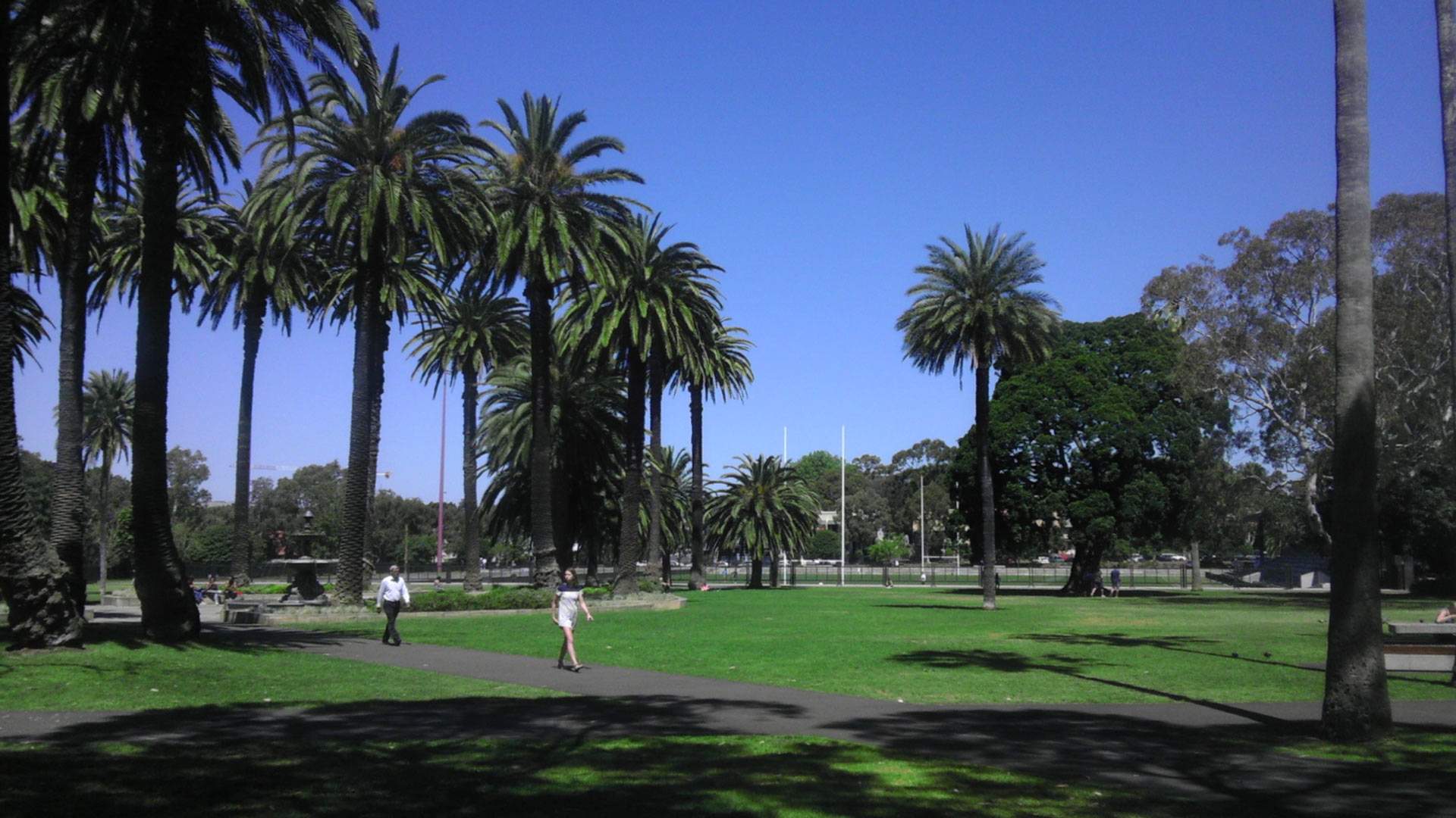 Redfern Park - Concrete Playground