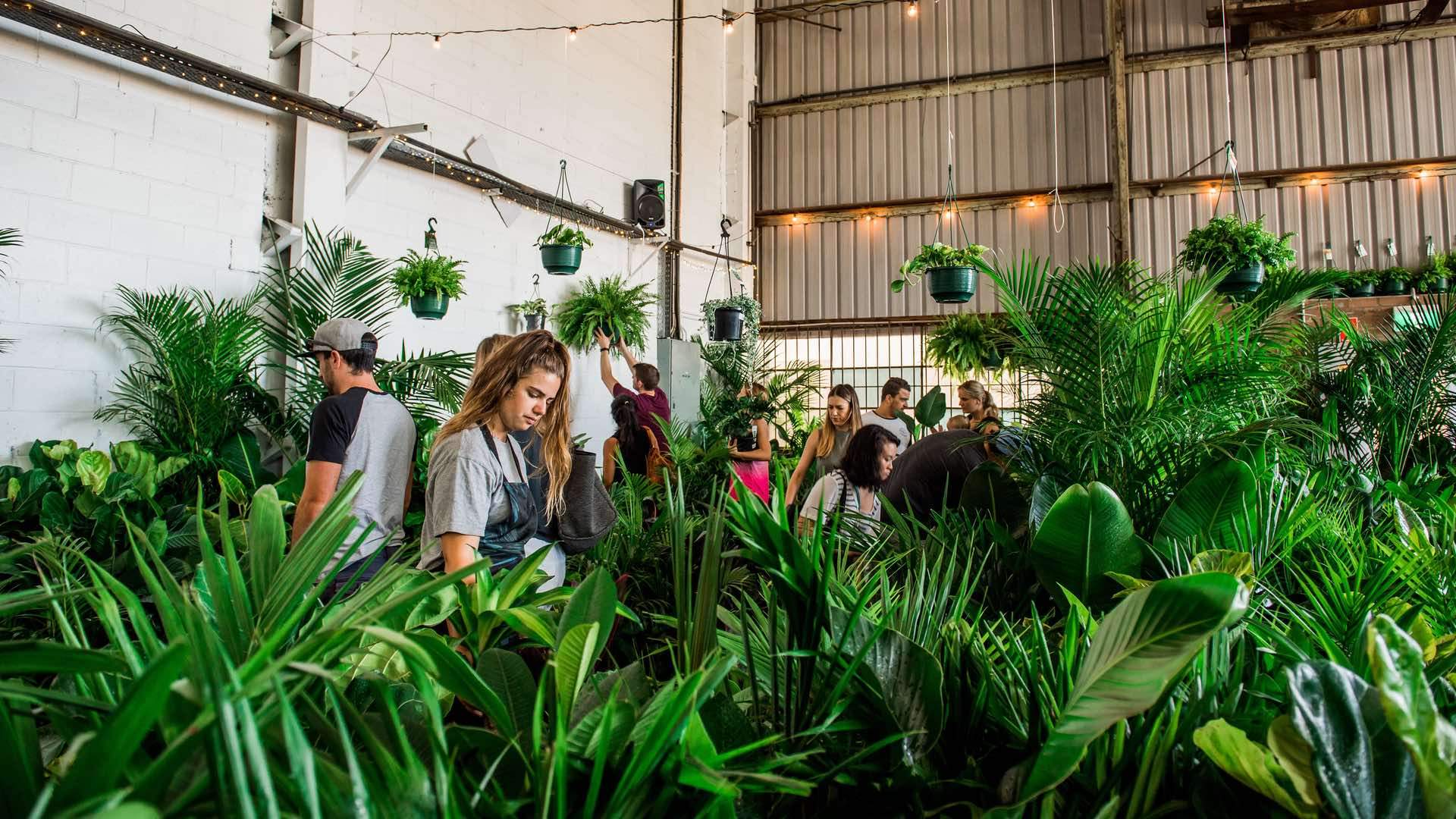 Indoor Plant Warehouse Party, Sydney