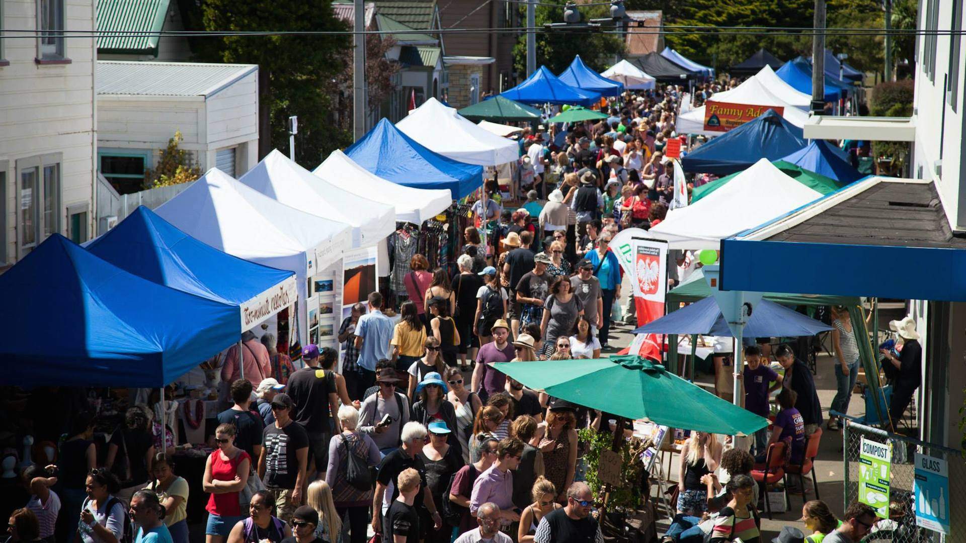 Newtown Festival, Wellington