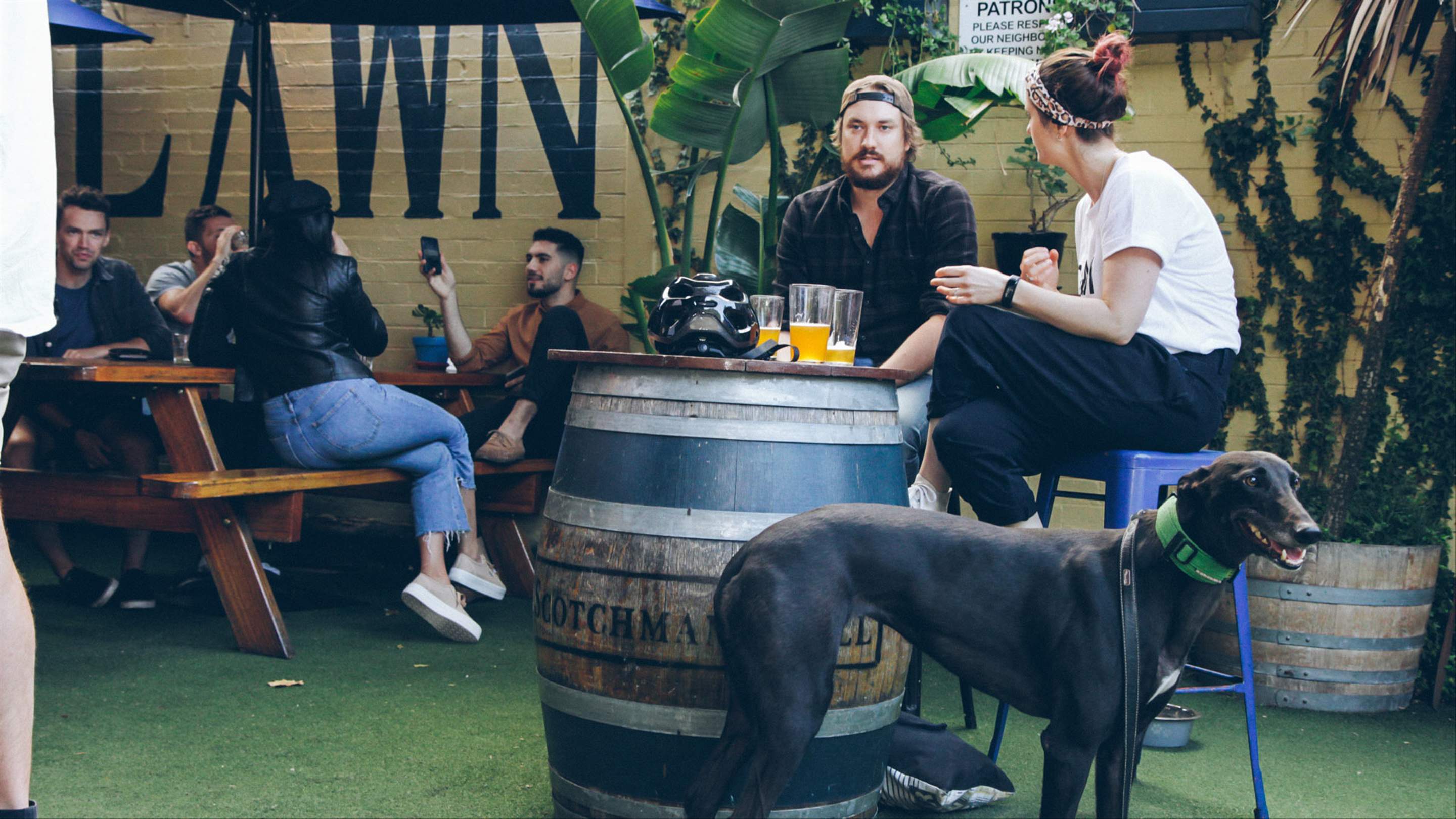 College Lawn Hotel, Prahran Review