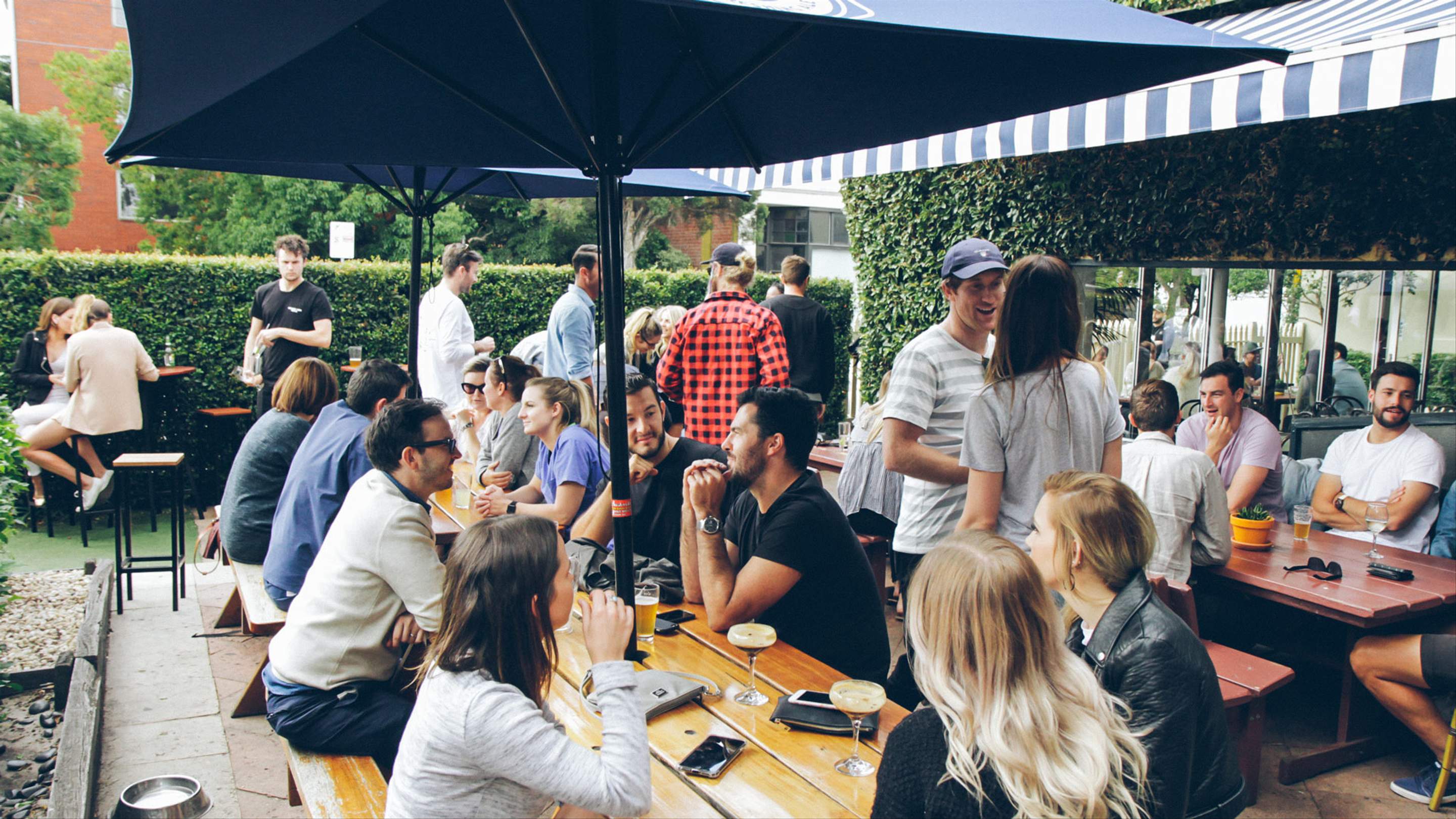 College Lawn Hotel, Prahran Review