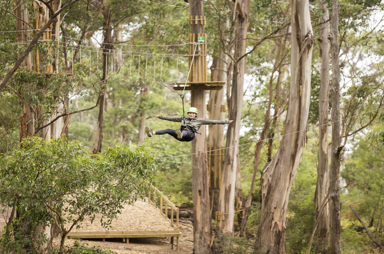 Live Wire Park - Concrete Playground