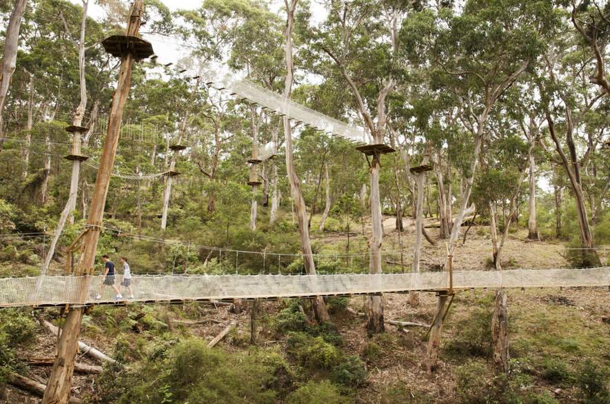 Live Wire Park - Concrete Playground