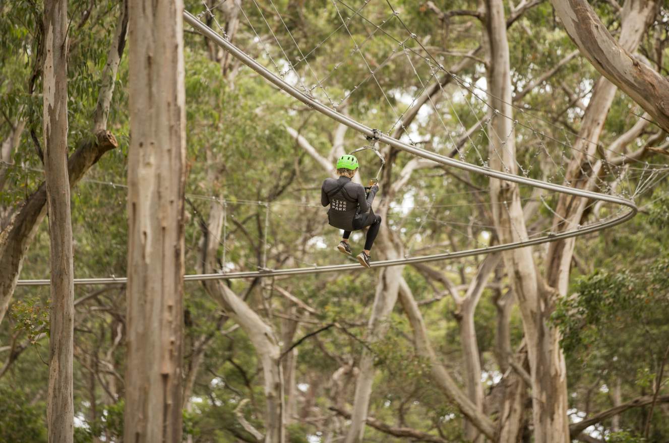 Live Wire Park - Concrete Playground