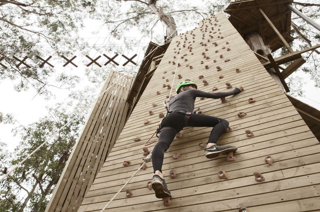 Live Wire Park - Concrete Playground