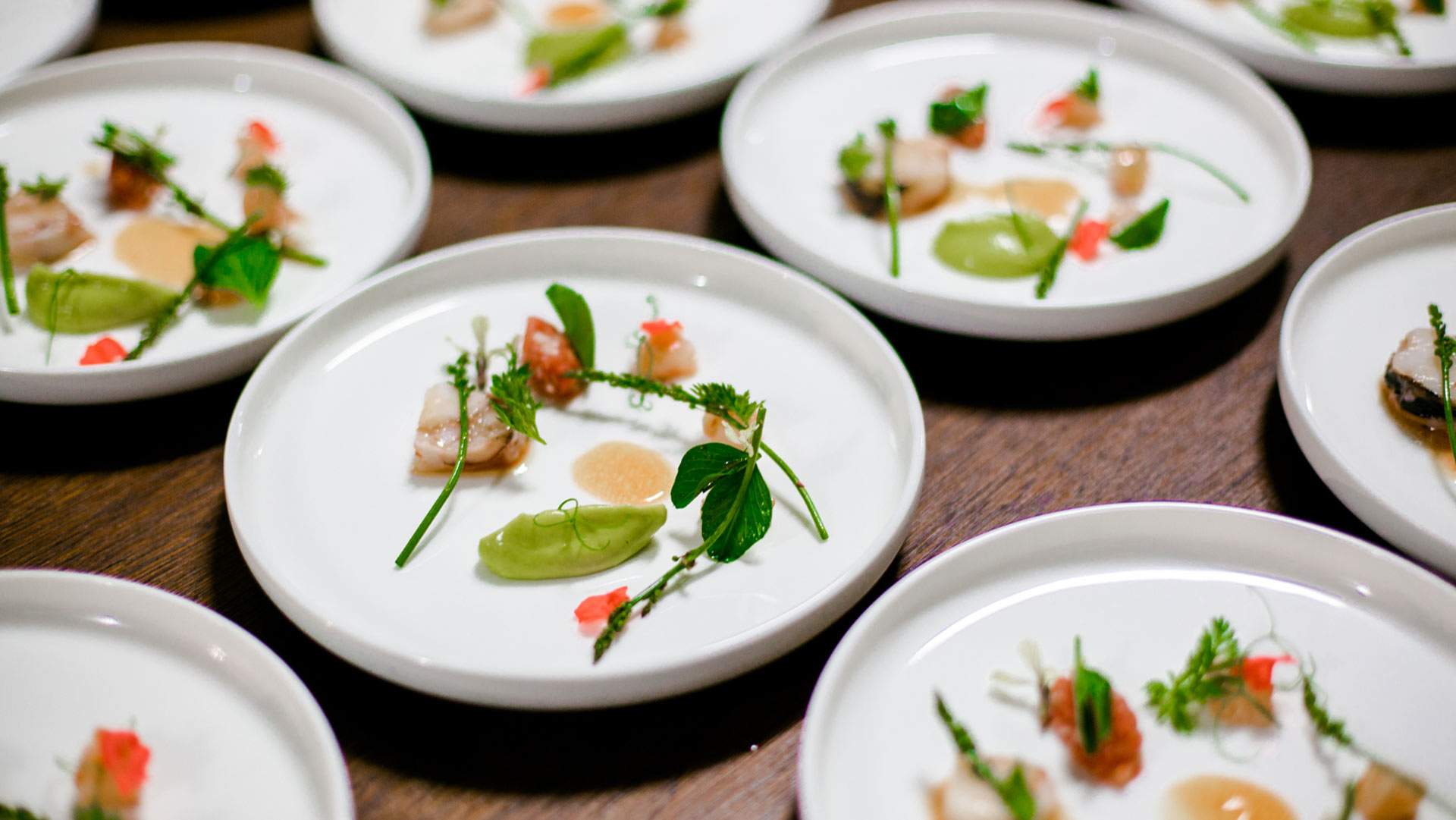 Taste Tuesdays - Concrete Playground