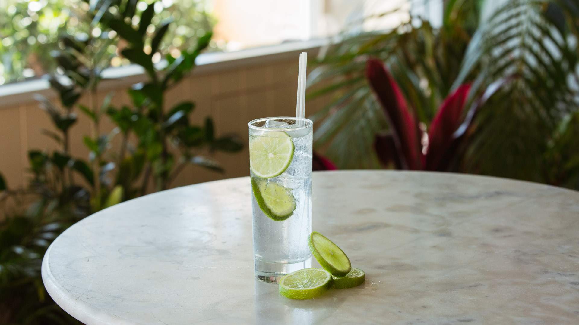 You Can Now Get Your Hands on a World-First Cannabis-Infused Gin Made ...