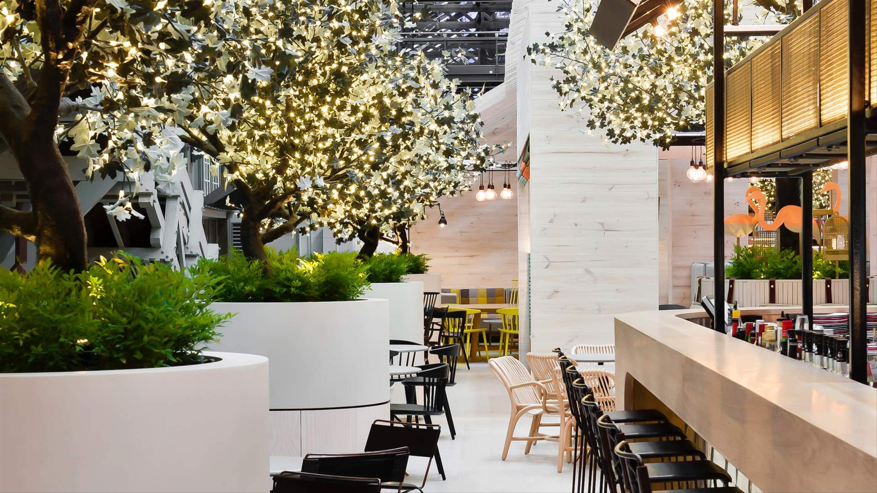 Alibi Bar & Kitchen, Woolloomooloo Review