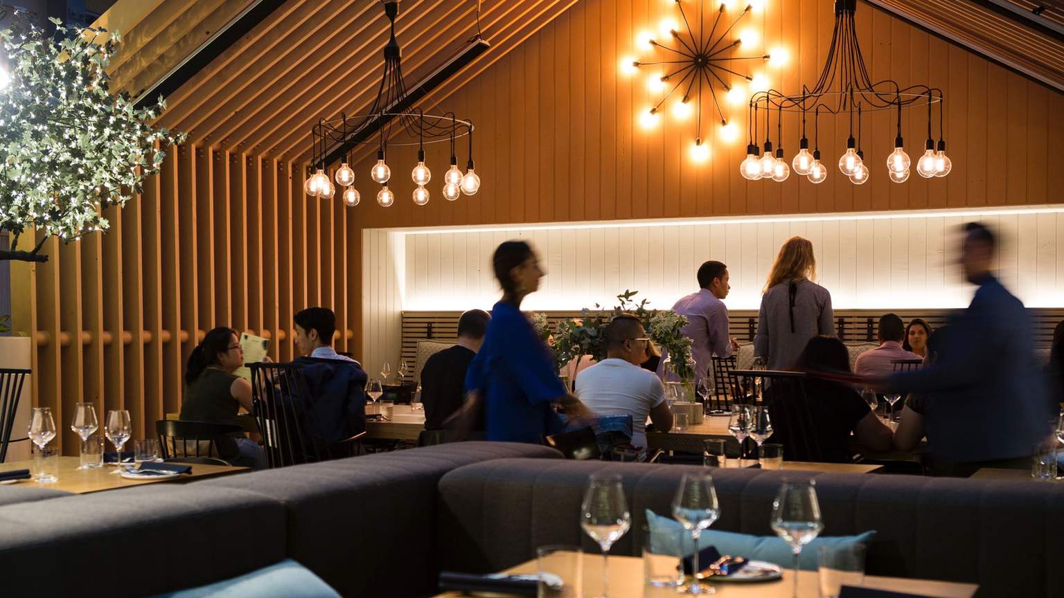 Alibi Bar & Kitchen, Woolloomooloo Review