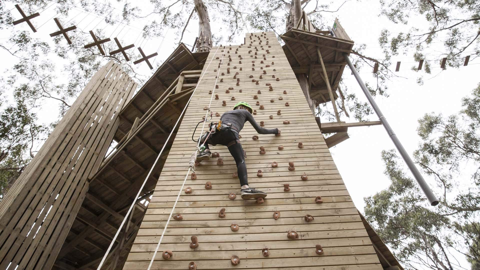 Live Wire Park - Concrete Playground