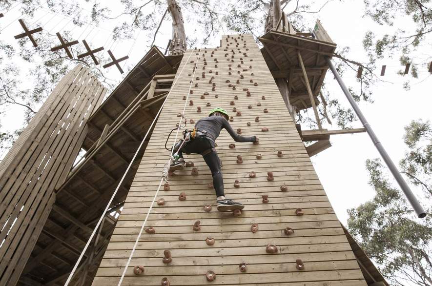 Live Wire Park - Concrete Playground