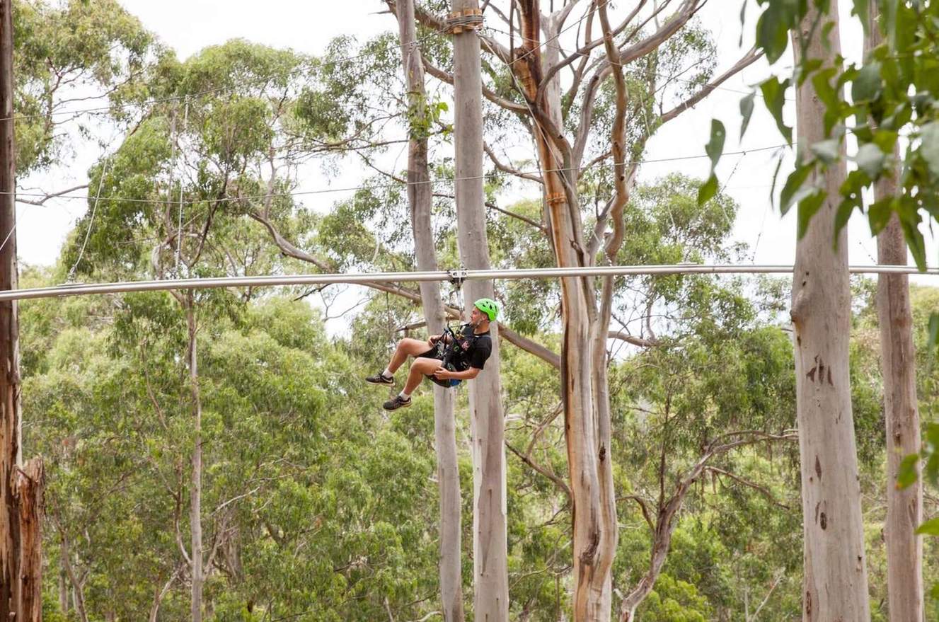 Live Wire Park - Concrete Playground