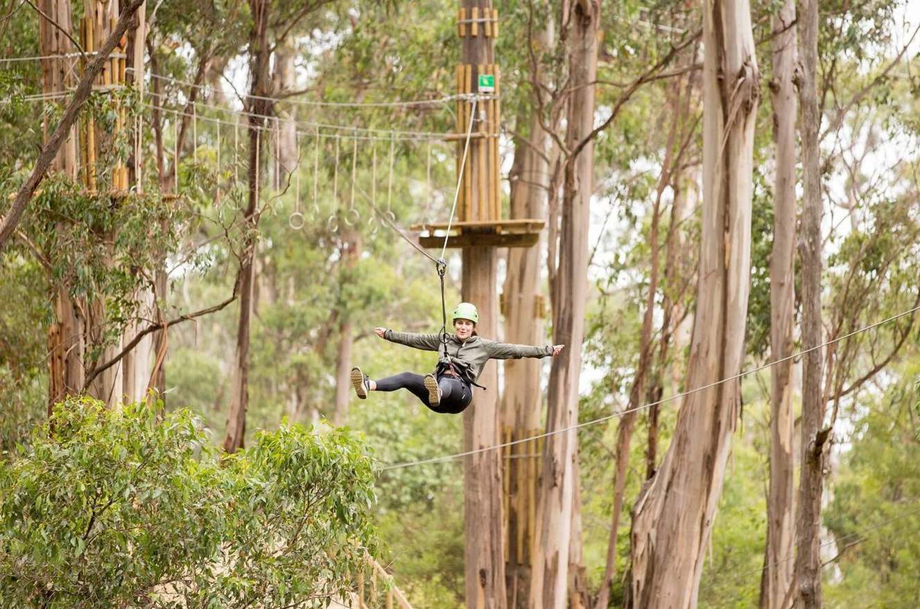 Live Wire Park - Concrete Playground