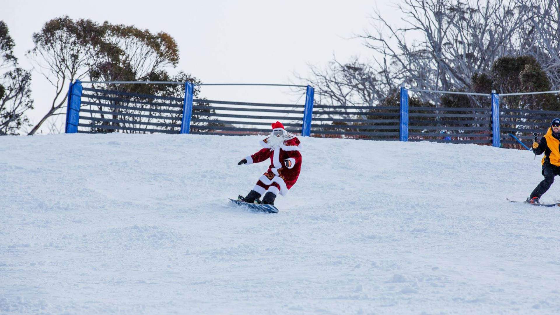 Christmas in July, Sydney