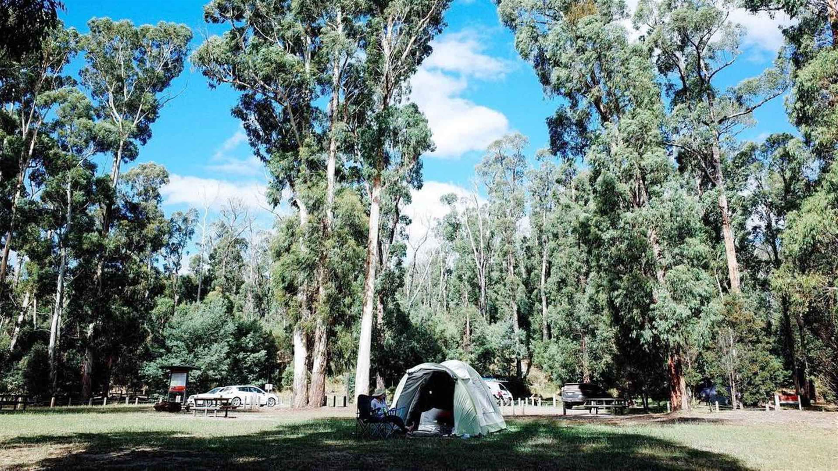 The Ten Best Free Camping Spots in Victoria