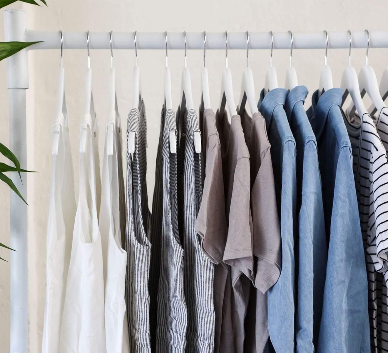 Assembly Label Surplus Store - Concrete Playground